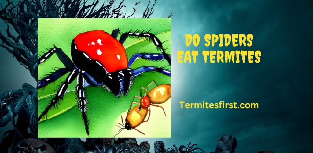 Termites First