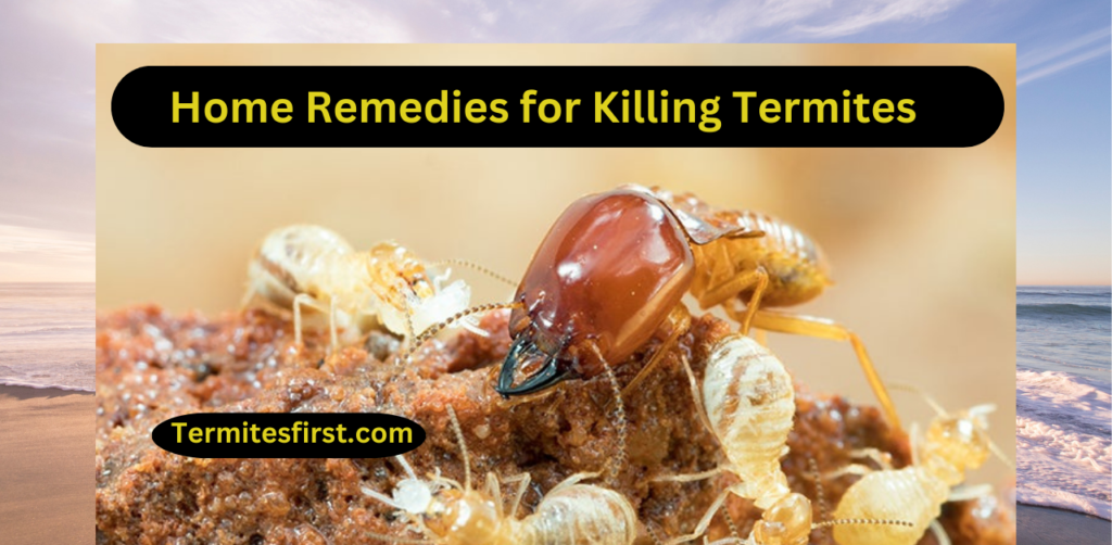 Does Bleach Kill Termites